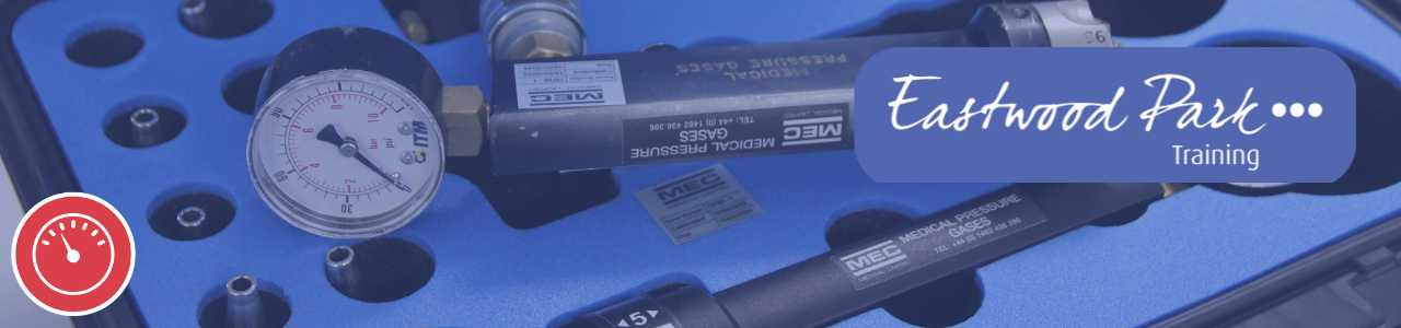 Authorised Person MGPS - IHEEM